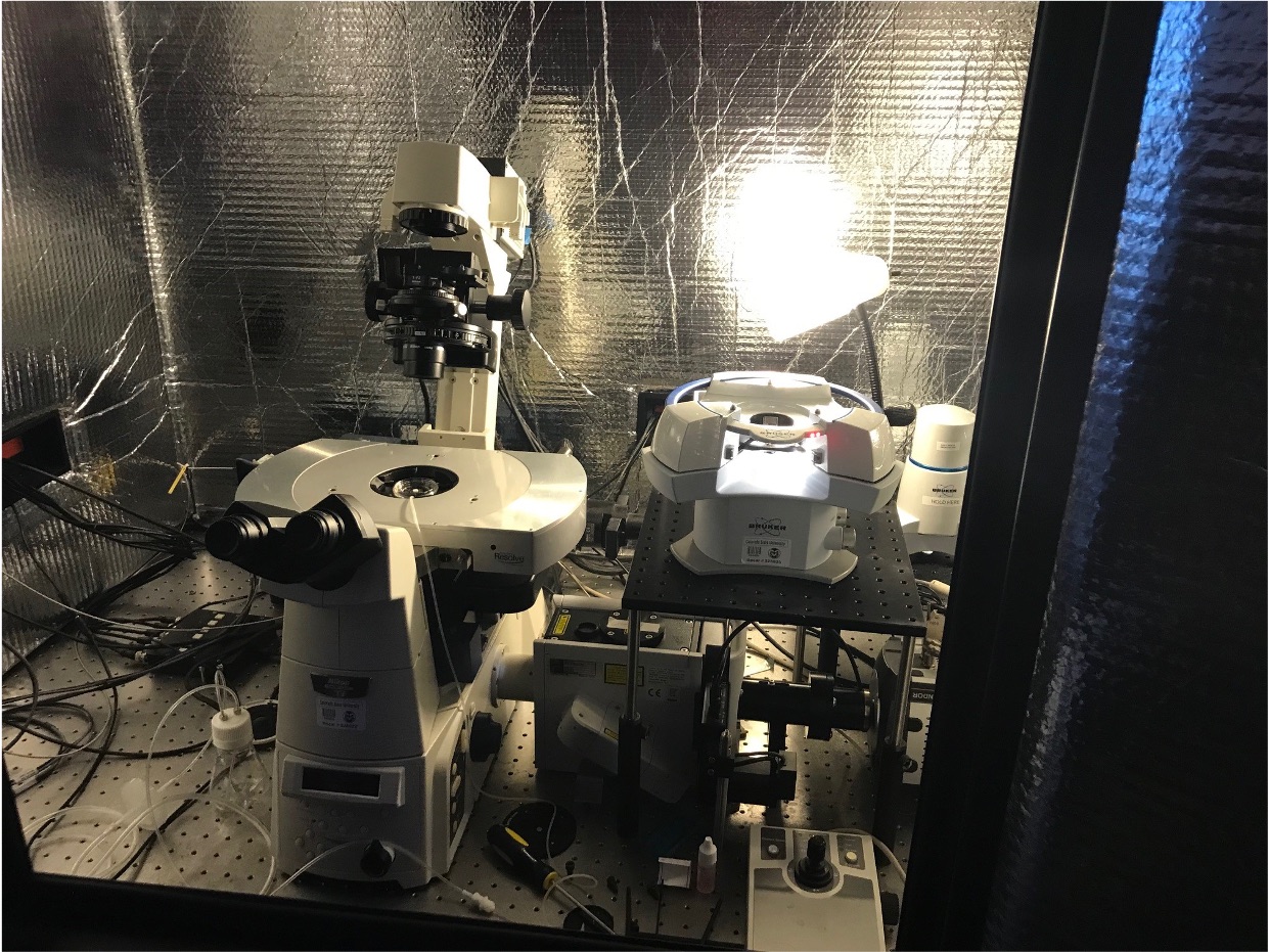 Bruker Atomic Force Microscope with Nikon Eclipse – Microscopes Open ...