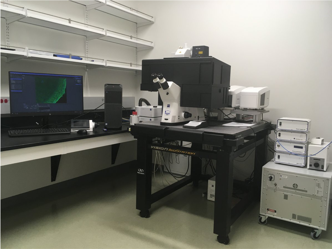 Zeiss LSM 980 Airyscan 2 Confocal Microscope – Microscopes Open Access ...